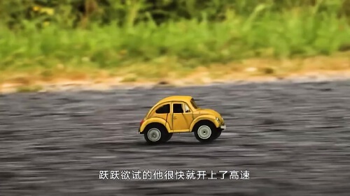 不得了了昆虫也会开车爆笑短《微观小世界》