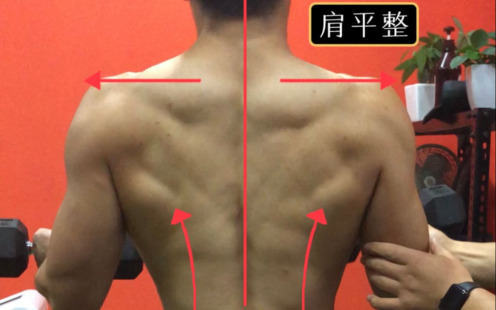 站姿训练的结构调整