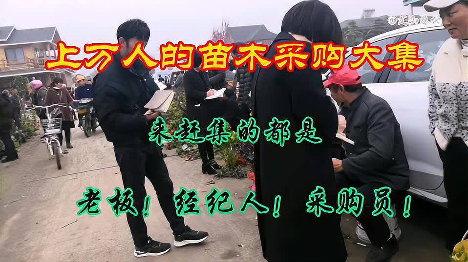 上万人的苗木花卉采购大集!看过吗?希望这个视频能帮助.