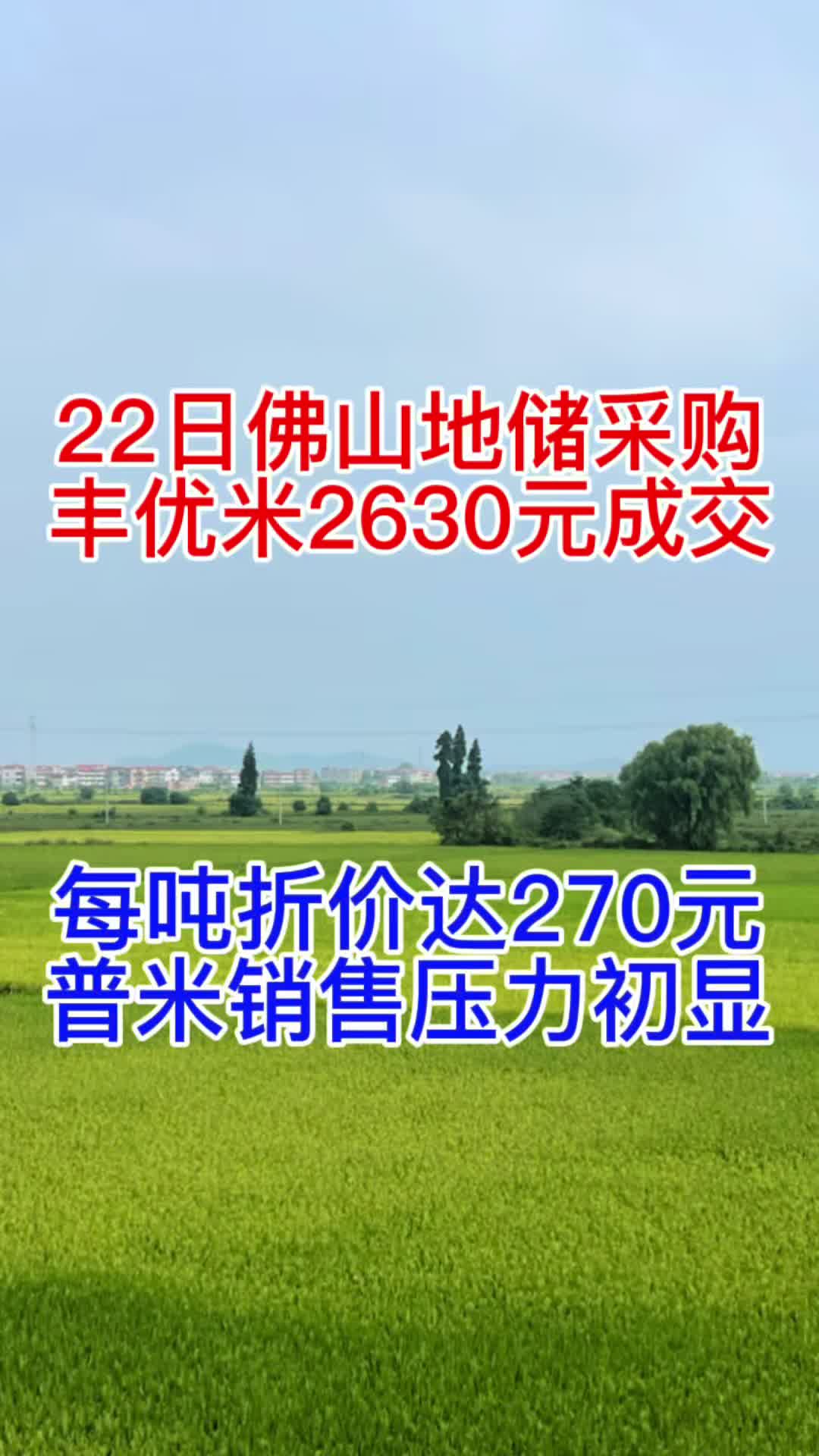 ...#农产品行情 #三农服务 10月22日,广东佛山禅城区地方储备粮油管理...