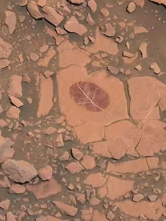 来自5500万公里外火星上柏摄型的一幕。#星球动画 #探索宇宙