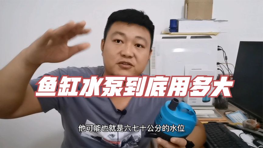 鱼缸如何选择水泵?到底用大合适?对照视频赶紧看看你用对了吗