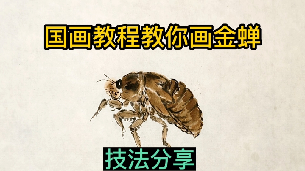 国画教程手绘教学,一笔一划教你画写意金蝉,你们老家管这个叫什么呢?