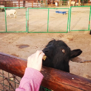 趁年轻还能折腾 