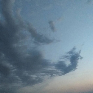 濯之雲也 