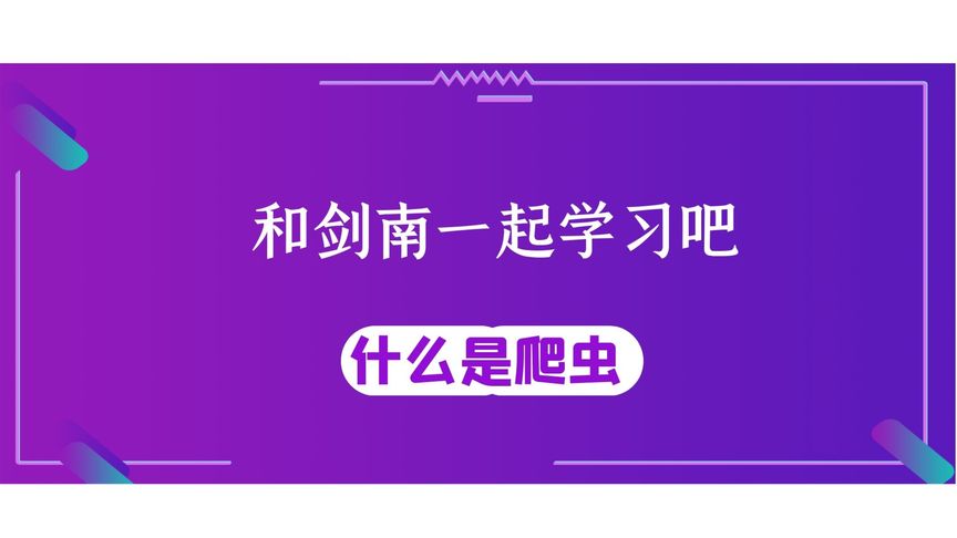 什么是python爬虫(一)@中视频伙伴计划官号