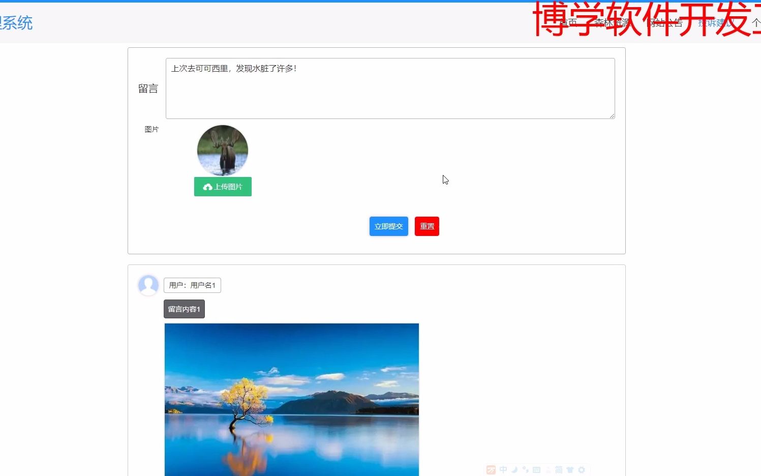 计算机毕业设计项目之基于SSM森林资源管理系统JAVA|JSP|SSM|...