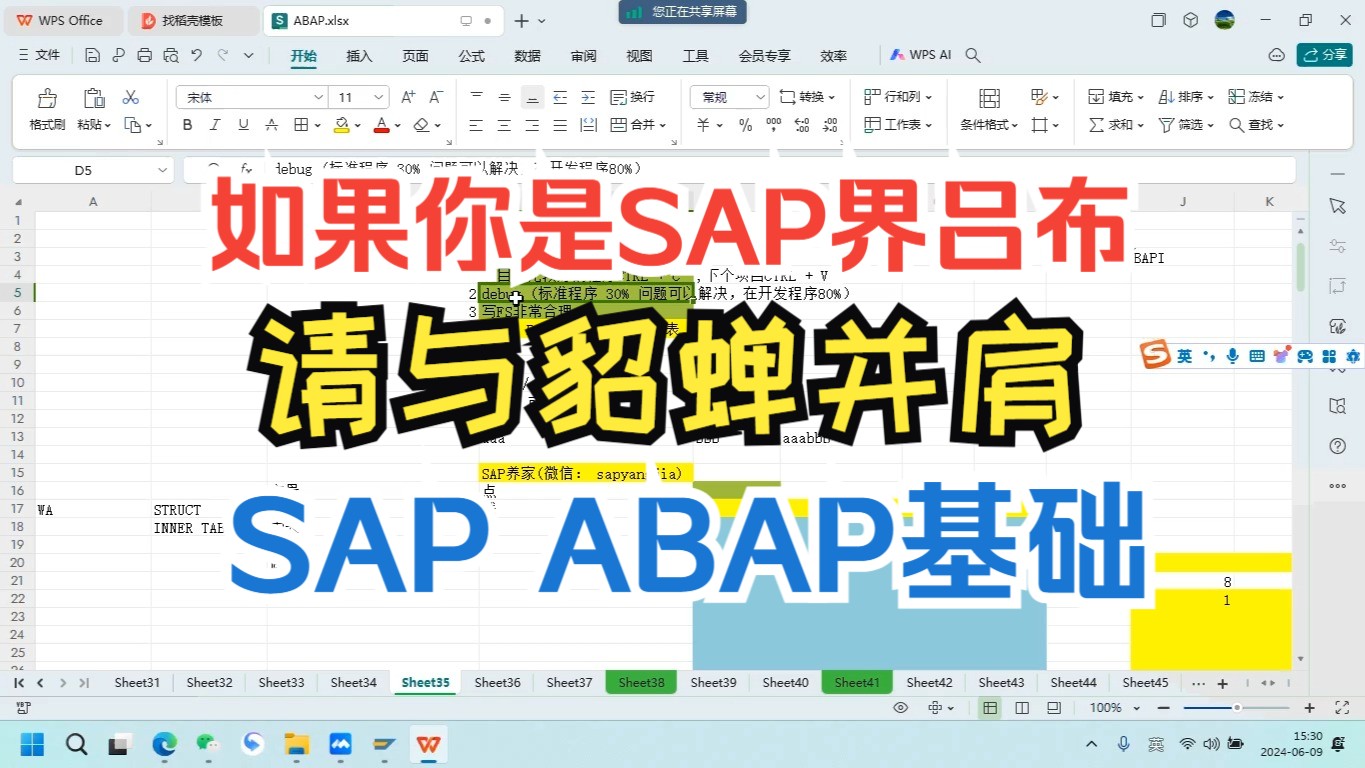 如果你是SAP界吕布,请于貂蝉并肩 SAP ABAP SAP FICO SAP MM ...
