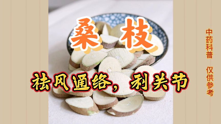 桑枝,祛风通络,利水,利关节,用于上肢风湿痹痛,水肿脚气等