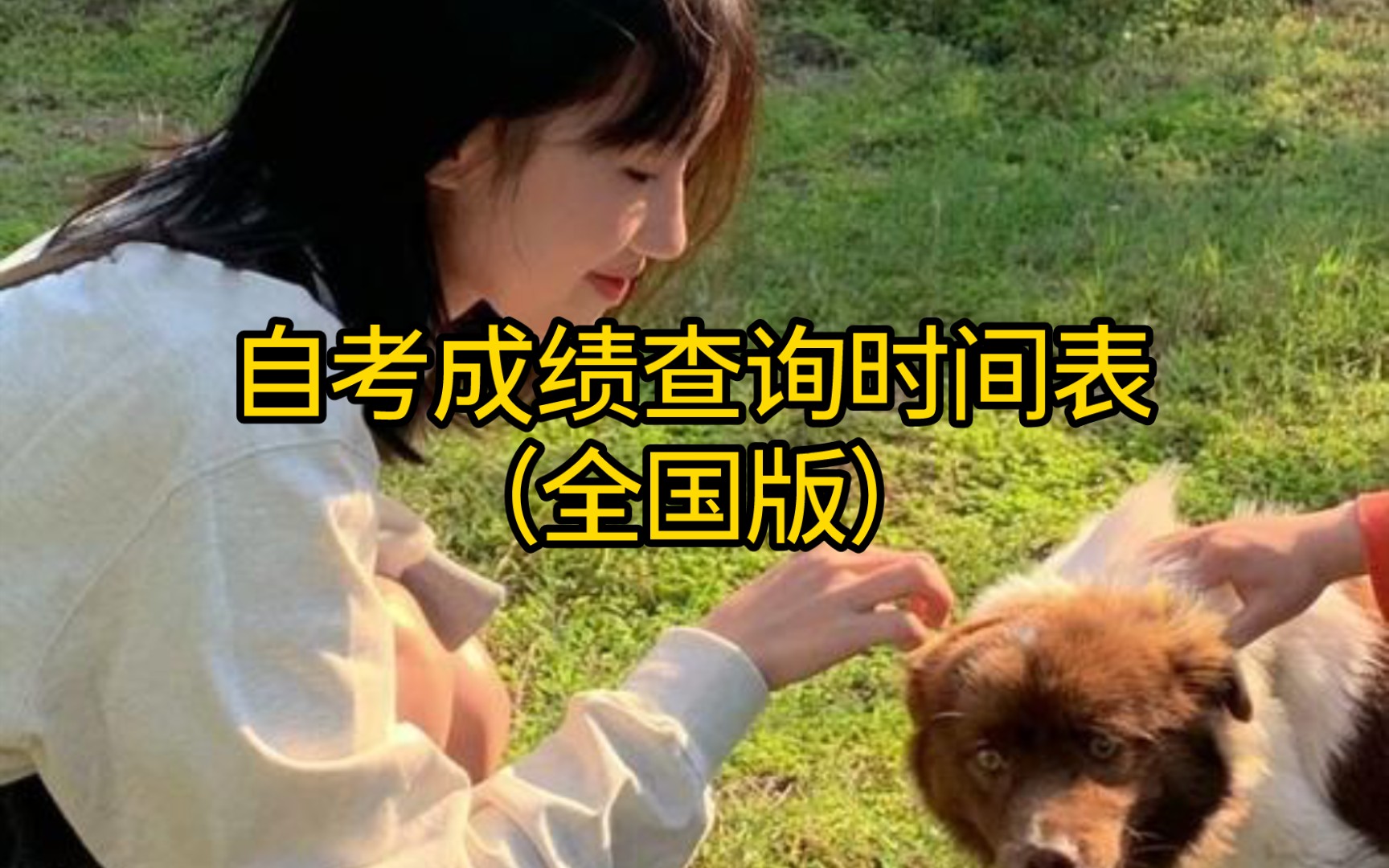 自考4月考试成绩查询时间表