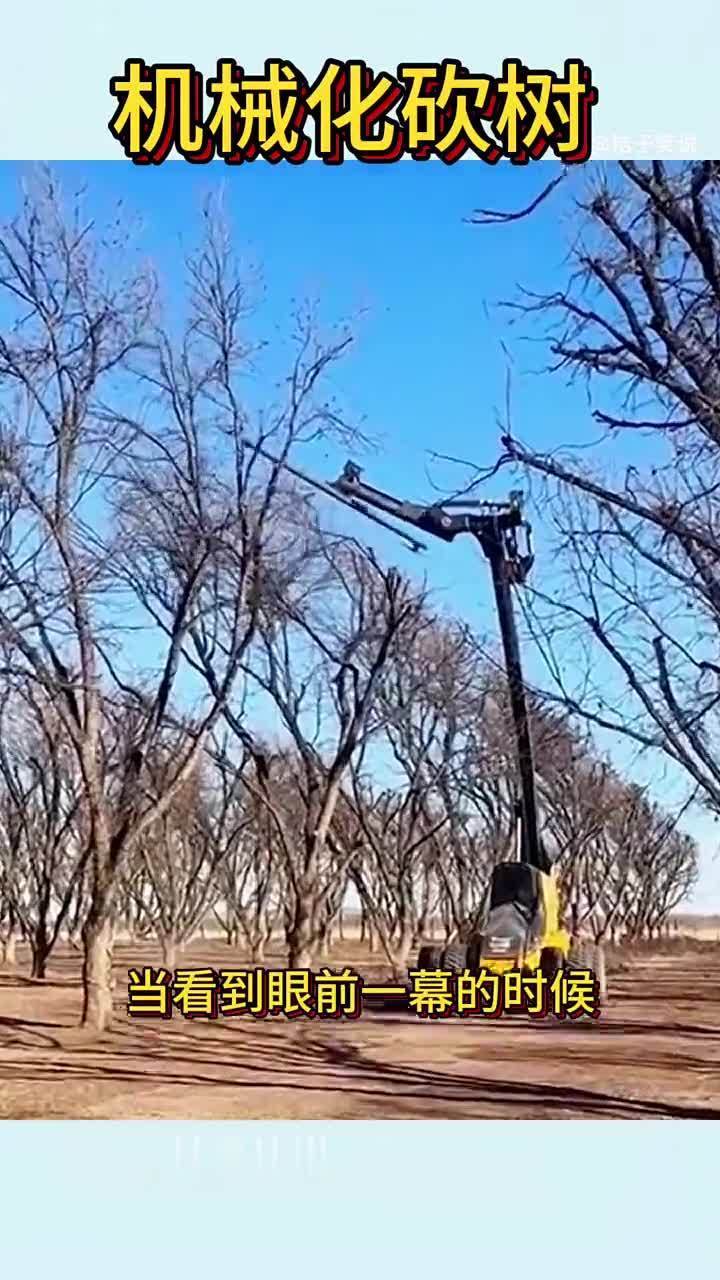 机械化砍树,方便到超乎想象!