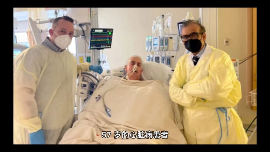 猪心移植到人体存活了2个月!异种器官移植,任重道远