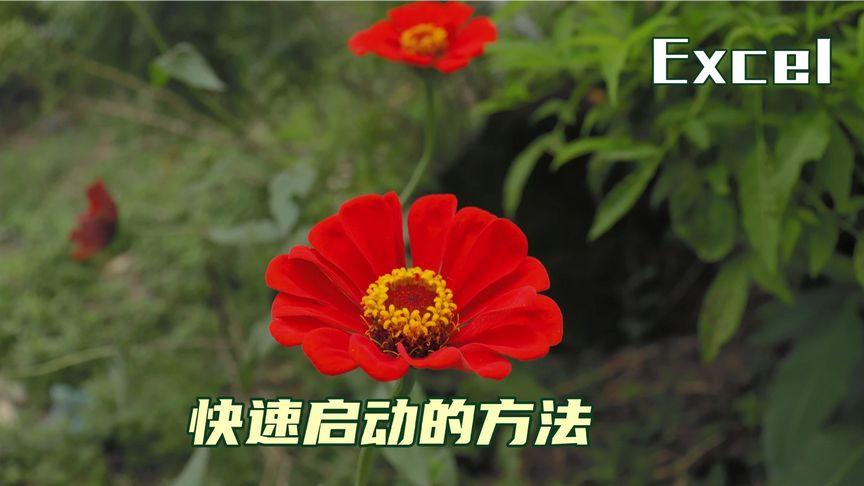 Excel基础知识(34):快速启动,取消不必要的加载项