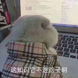 爱吃糖糖的一一 
