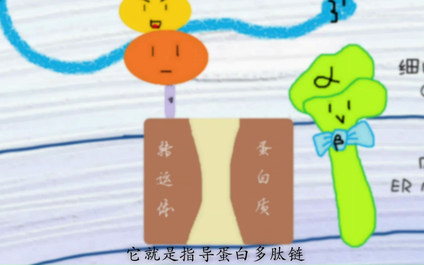 对小学生来说太幼稚,对大学生来说刚刚好(信号肽假说)