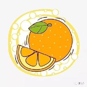 贴吧飞机橙子 