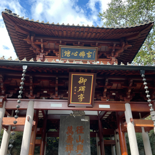 W君爱看历史剧 
