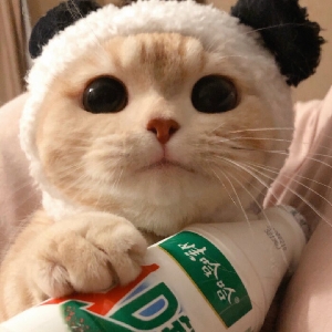 Yie_熠垩 