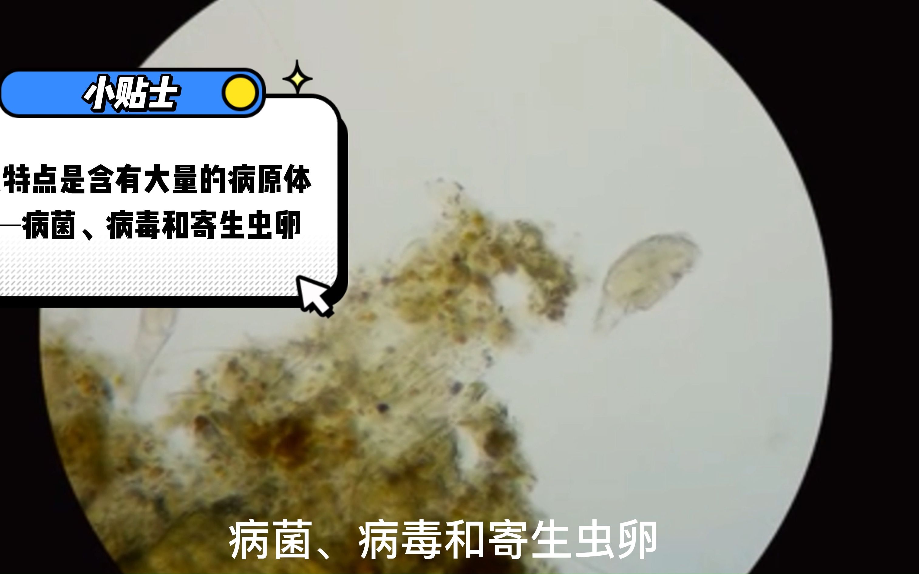 医院污水处理设备