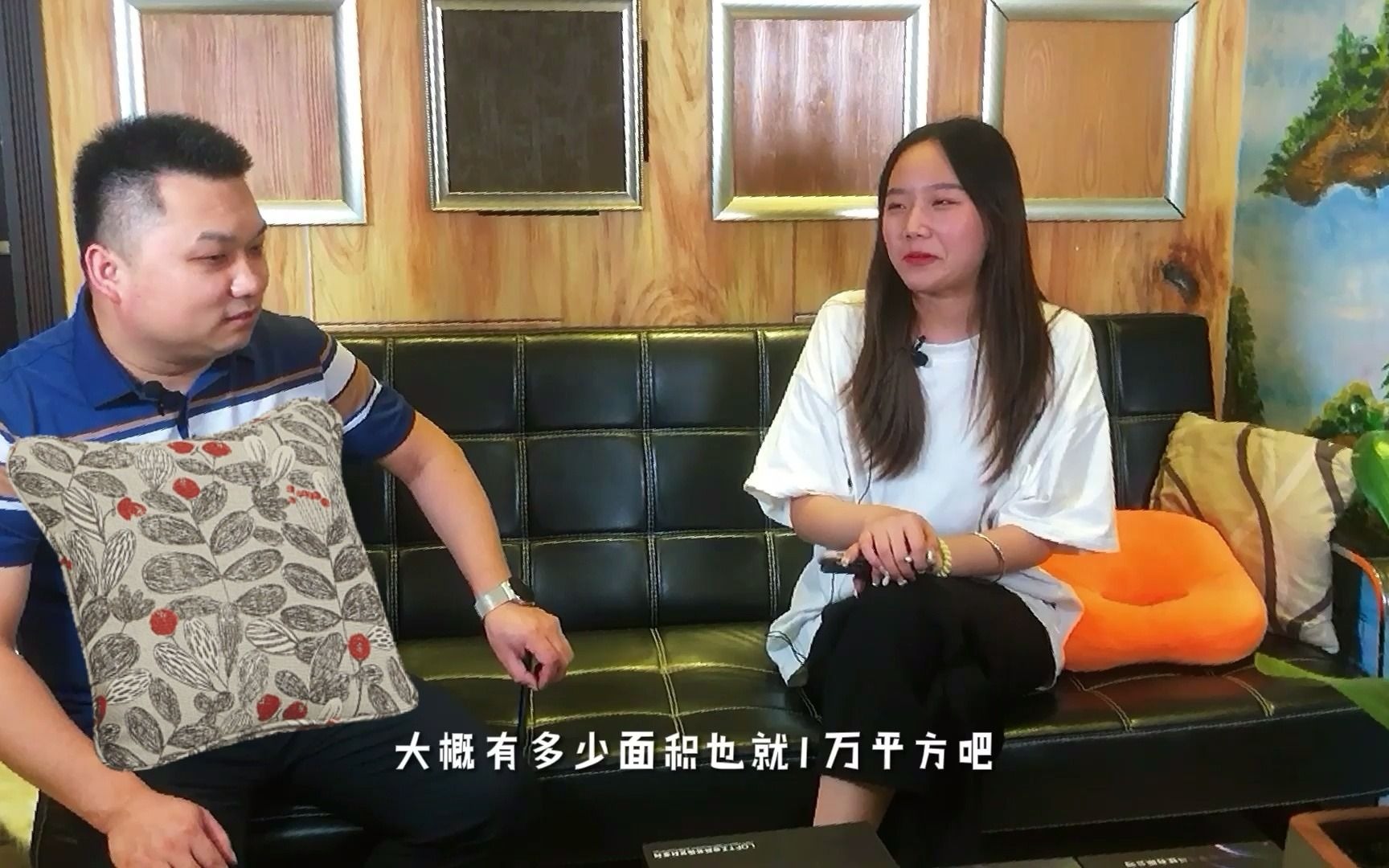 涂料业务员的凡尔赛日常