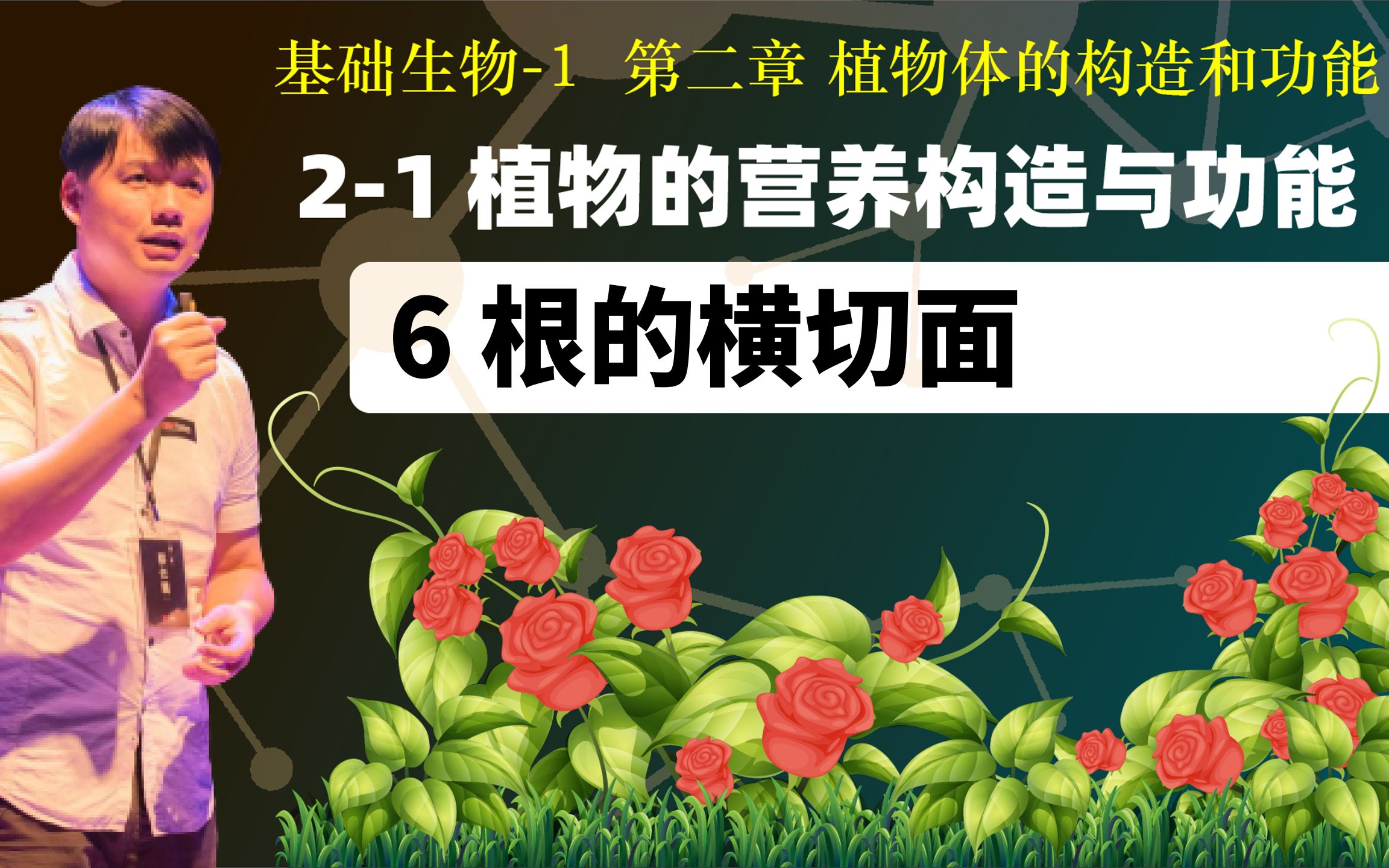 基础生物学 2-1.6 根的横切面