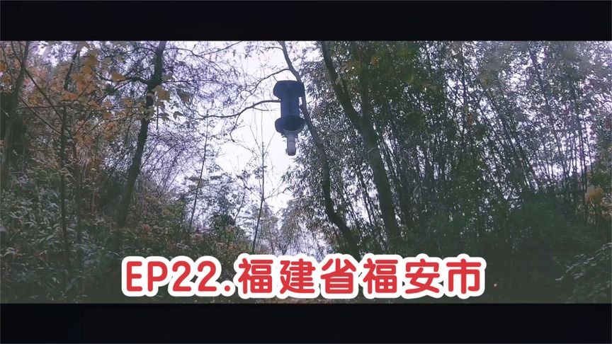 骑行中国EP22.骑行在路上,被路边一个挂树上的绿色灯笼吓着了。