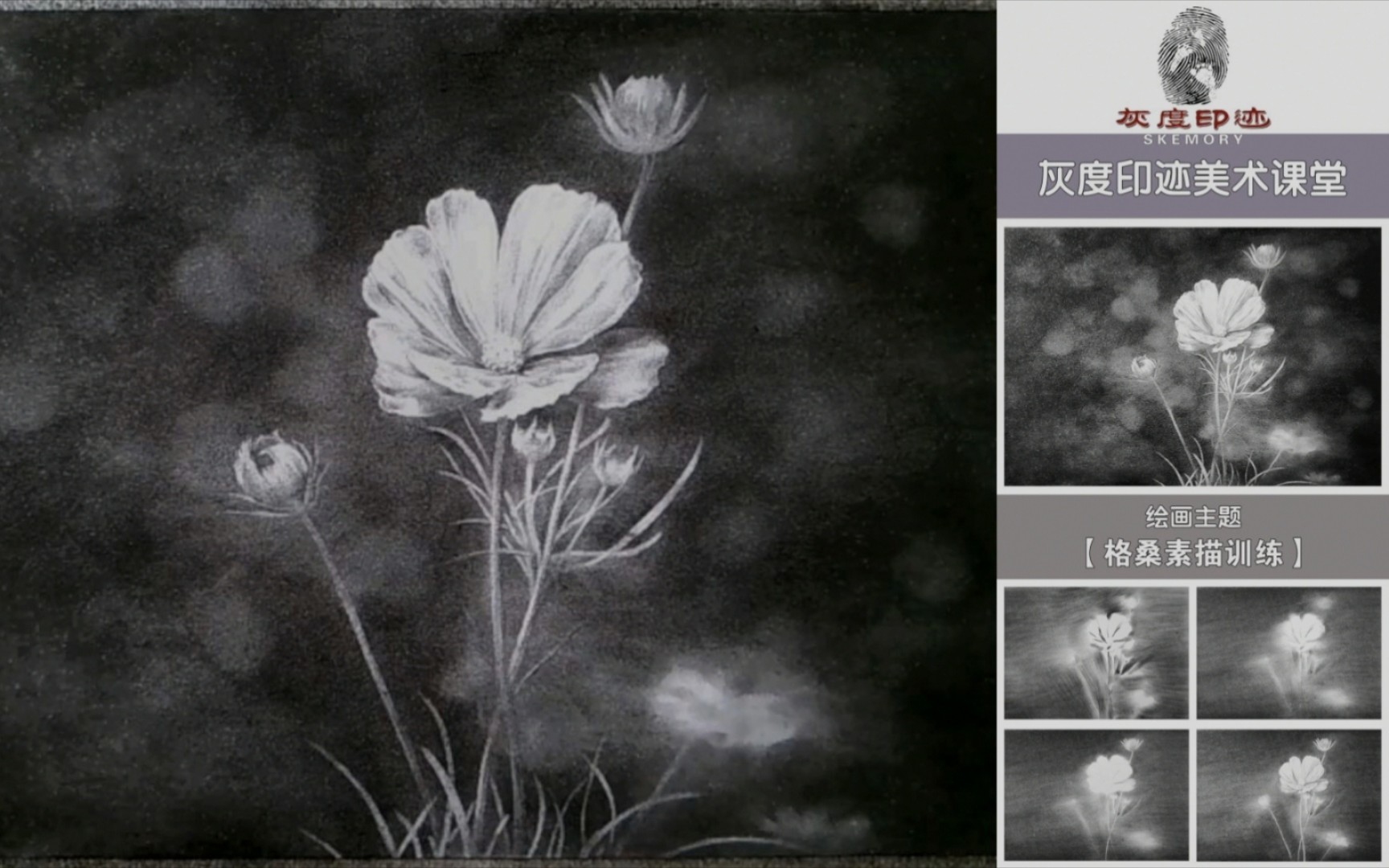 素描花卉—美丽的格桑花