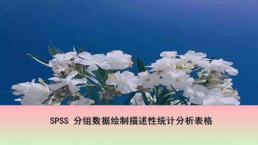 SPSS 分组数据绘制描述性统计分析表格【转载】