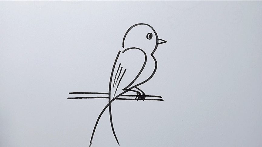 快来看呀!教你用数字画小鸟