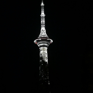 焰沁 