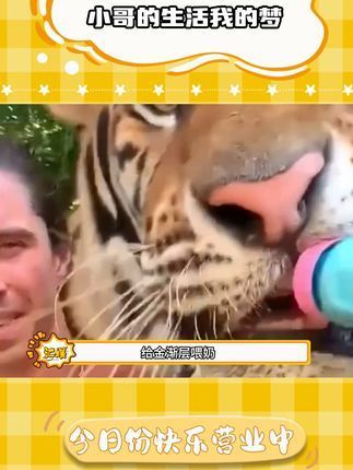 一不小心成了"森林之王"!#动物园 #治愈 #生活