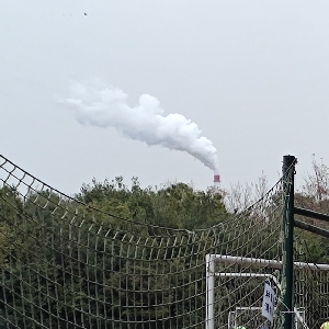 果园在逃真果粒 