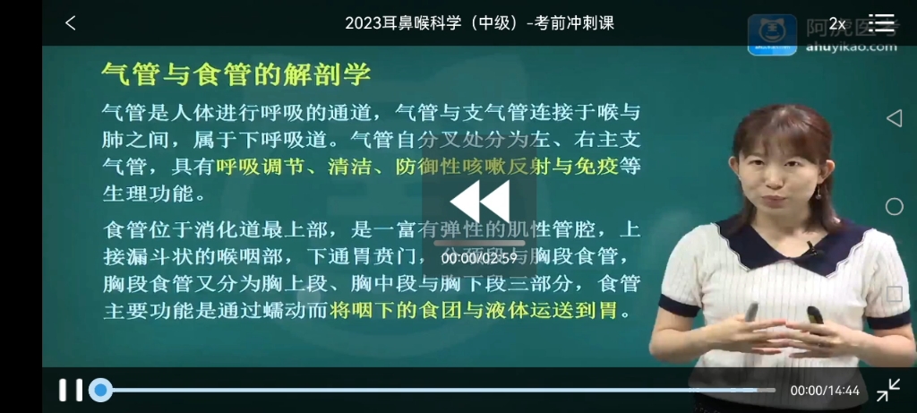 气管与食管的解剖学