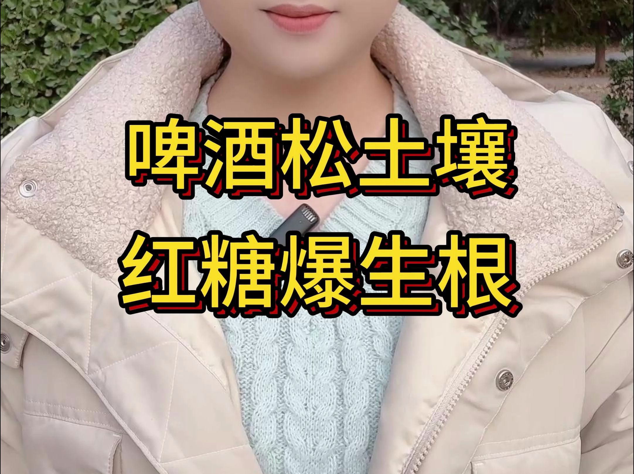 啤酒和红糖在种菜上的妙用,增产好搭档