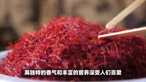 藏红花泡水好处多,泡法不对功效减半,你泡对了吗?