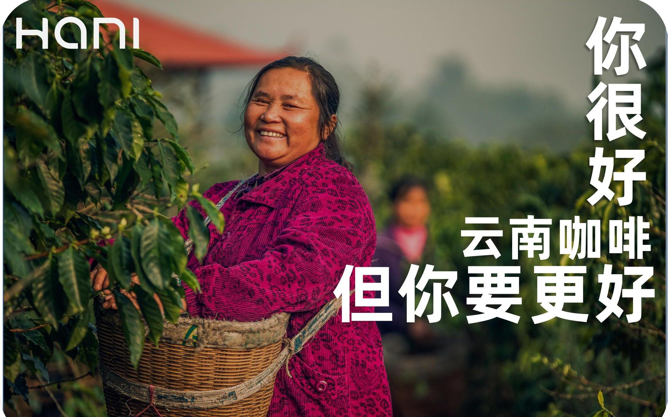 云南精品咖啡的溯源之旅 | 走进云南,深入精品咖啡产业核心,了解咖啡...