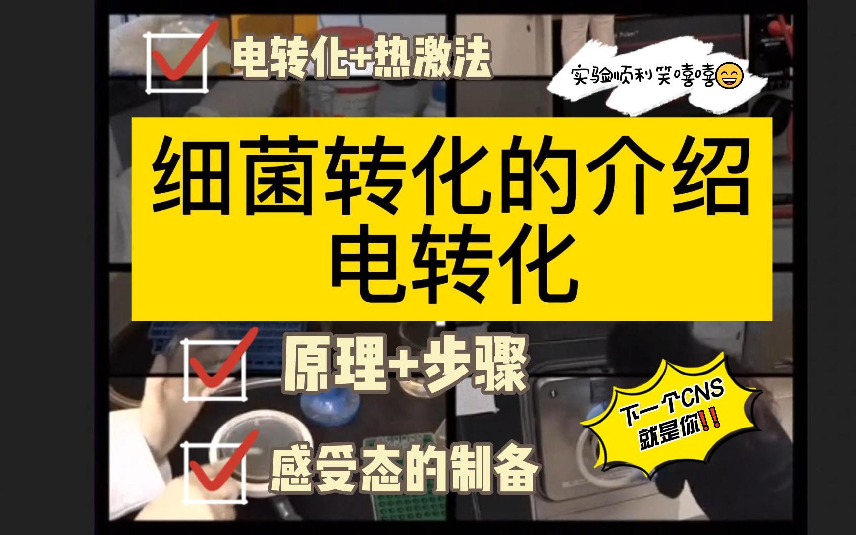 构建过表达载体|细菌转化|电转化|实验原理|实验步骤|电转化感受态的...
