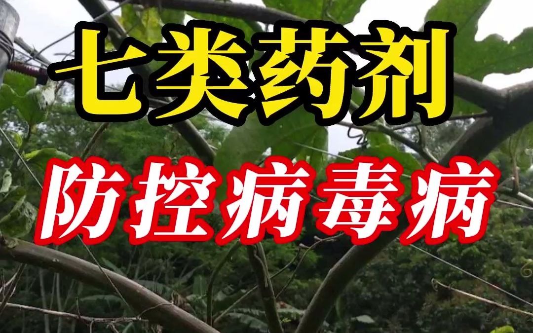 防控#病毒病的7类药剂,你知道几个?作用机理老余给你一一分析,看你...