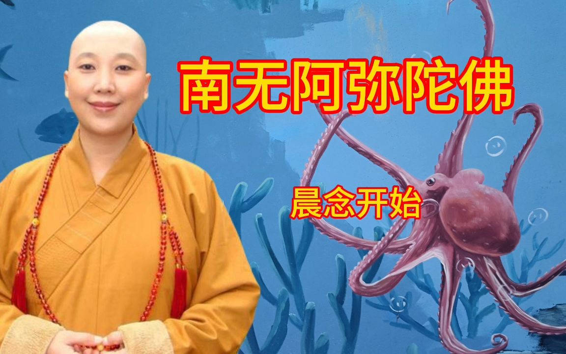 南无阿弥陀佛(六字佛号,念诵21分钟版)