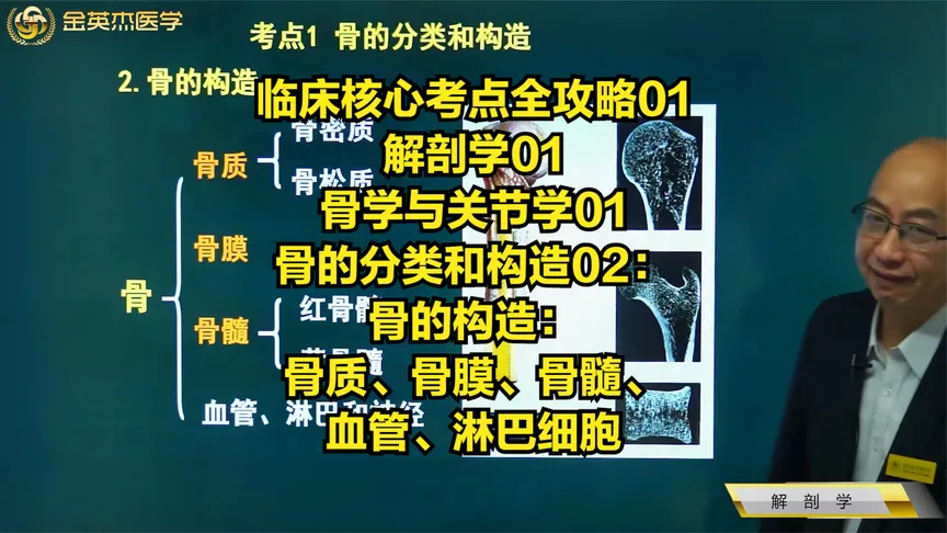临床01解剖学:骨的构造:骨质、骨膜、骨髓、血管、淋巴细胞
