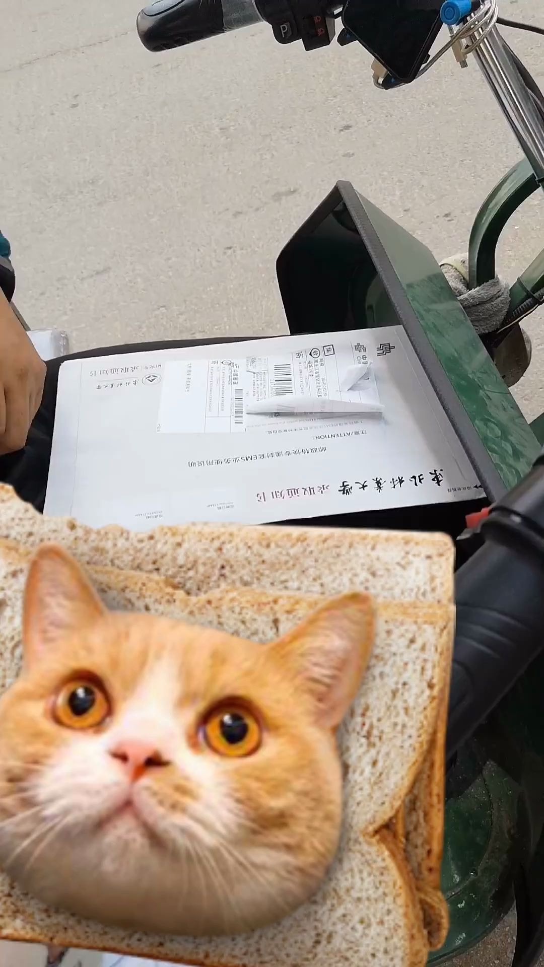 东北农业大学研究生录取通知书终于到了,今天是个好日子,好运来呀...