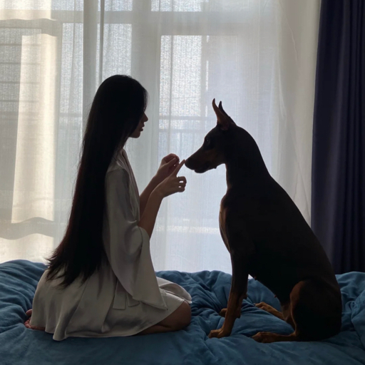 萧何韵 
