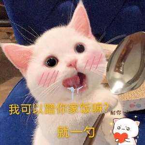 冯老板历史课堂 