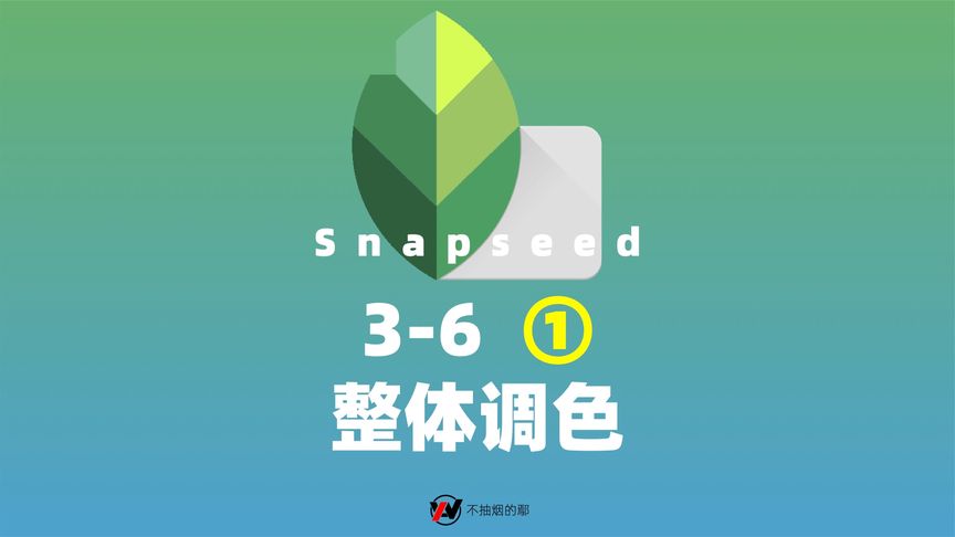 Snapseed 手机修图新手教程:从入门到出门!片段 3-6:整体调色