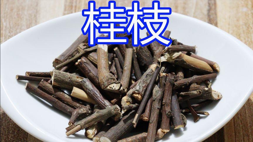 大厨揭秘香料知识,第三十六集“桂枝”,讲的都是干货,不学可惜