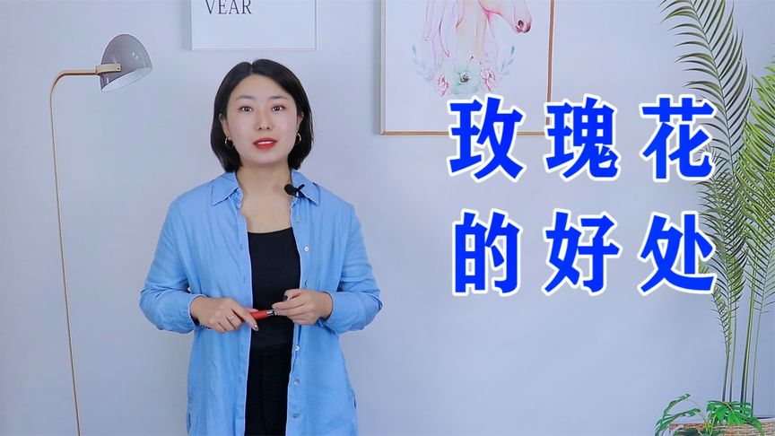 玫瑰花茶只适合女性吗?3大功效帮助调节身体健康,男女都适宜