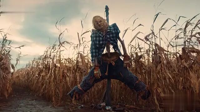 不要随便去惹稻田里的稻草人,后果很严重