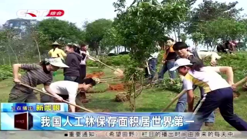 我国森林覆盖率由8.6%提高到21.6%,人工林保存面积居世界首位