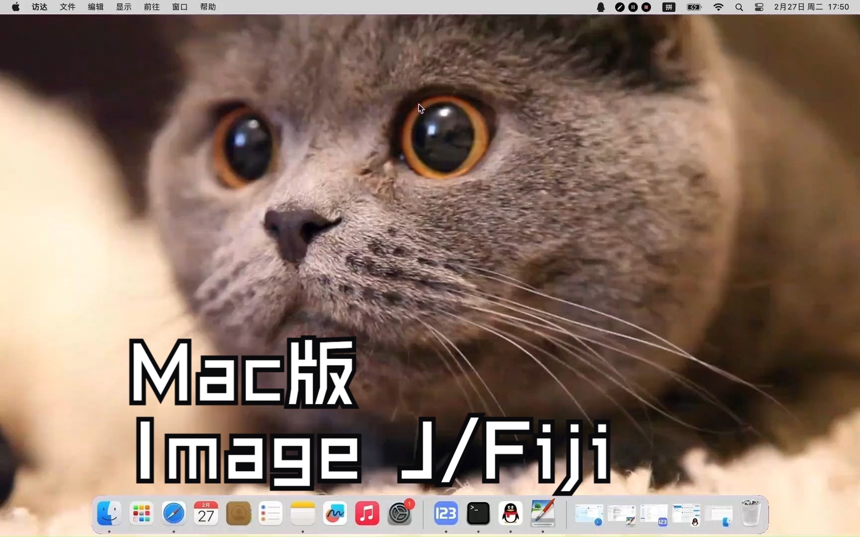 MAC版Image J/Fij安装包下载安装教程