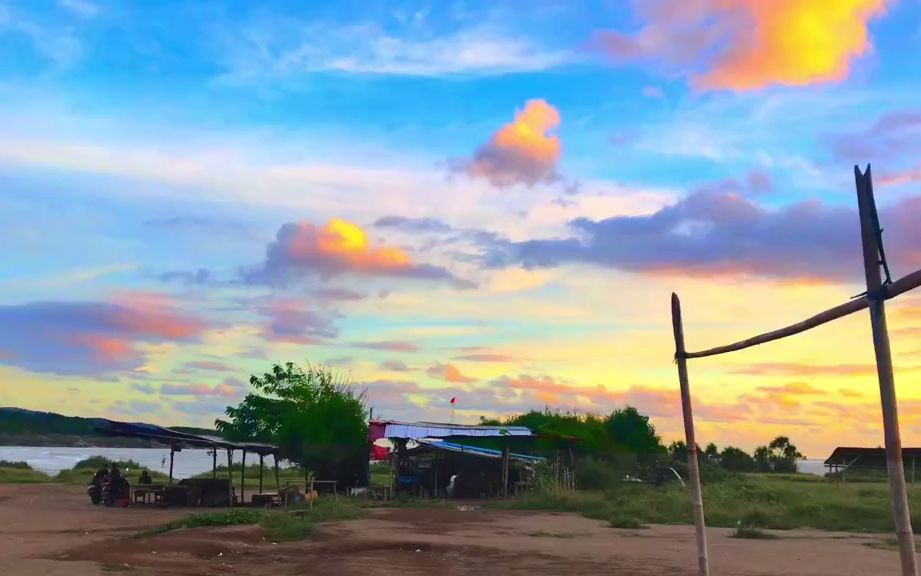 病毒学检查 可从咽拭子、粪便、心肌组织中分离病毒或用PCR技术...